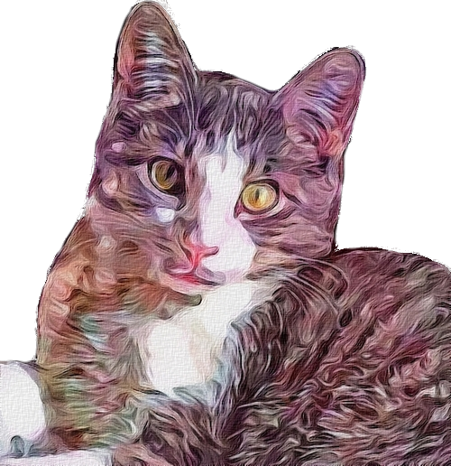 Macy_Paint_Portrait – Friends of the Shelter Foundation